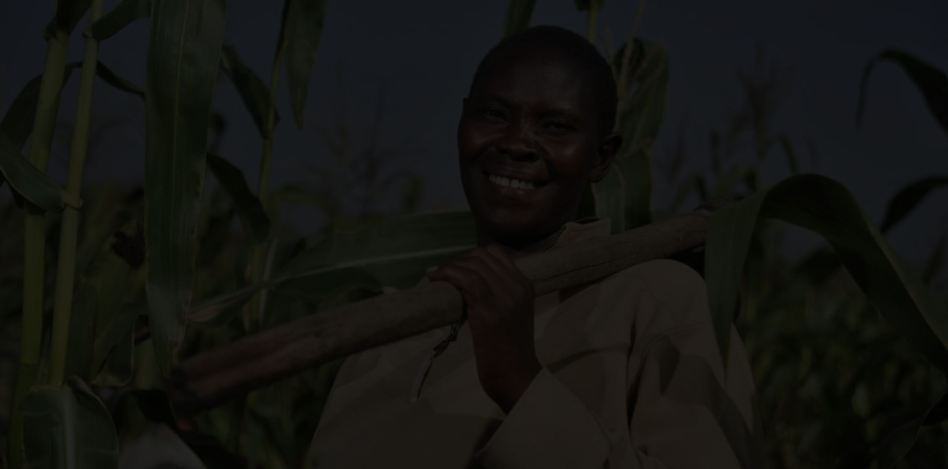 About us - Prolific Innovations Limited