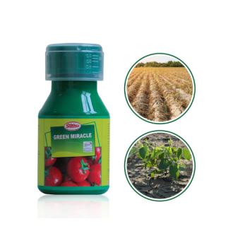 Green miracle - Prolific Innovations Limited